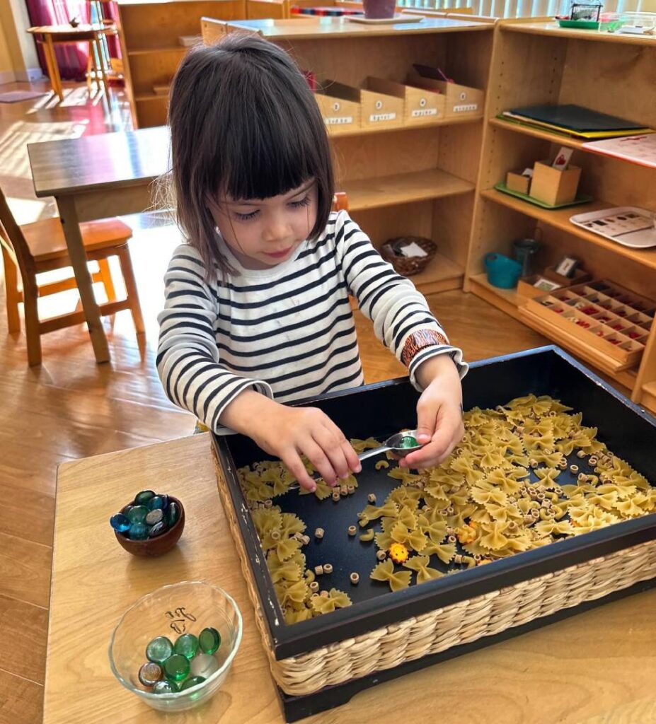 Programs – Avondale